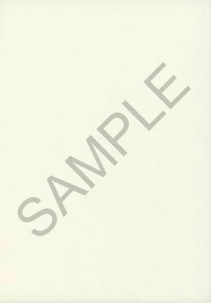 Lighthouse A4 Pages Completely blank BL 02/4 Pack of 40